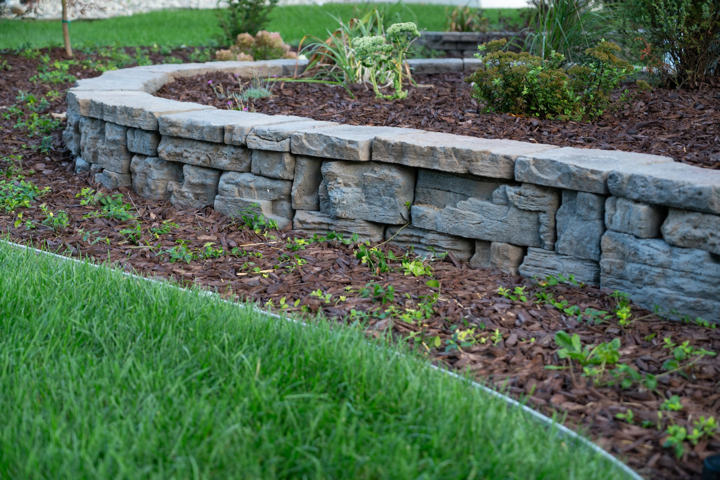 Belvedere Coping | High Format